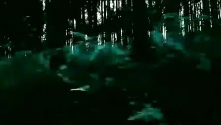 《恐怖之森》-高清电影-完整版在线观看