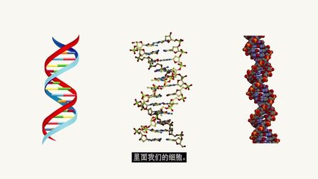 《DNA:得失之间》全集-电视剧-免费在线观看